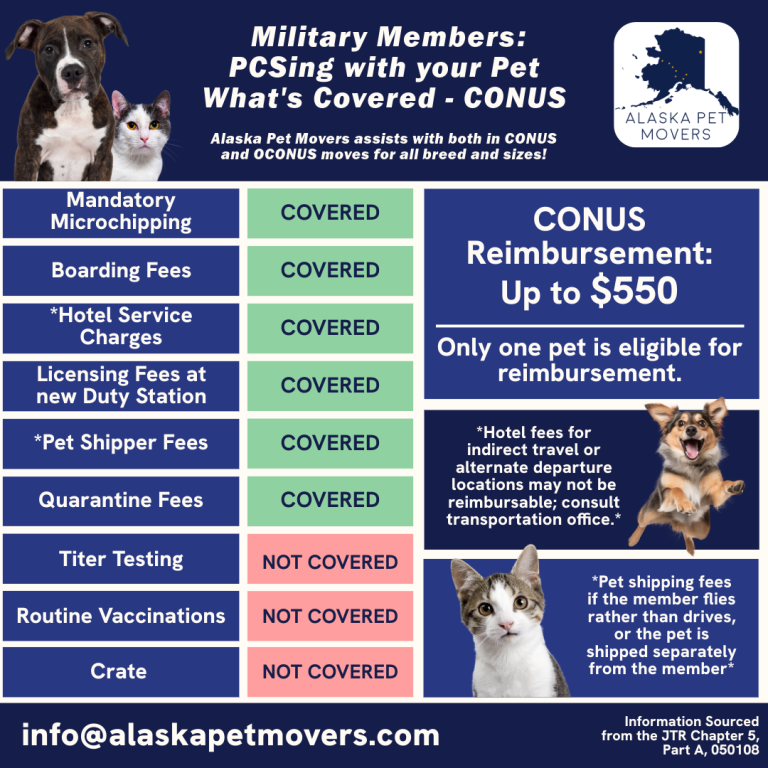 Military Pet Travel Reimbursement: What You Need to Know - Alaska Pet ...